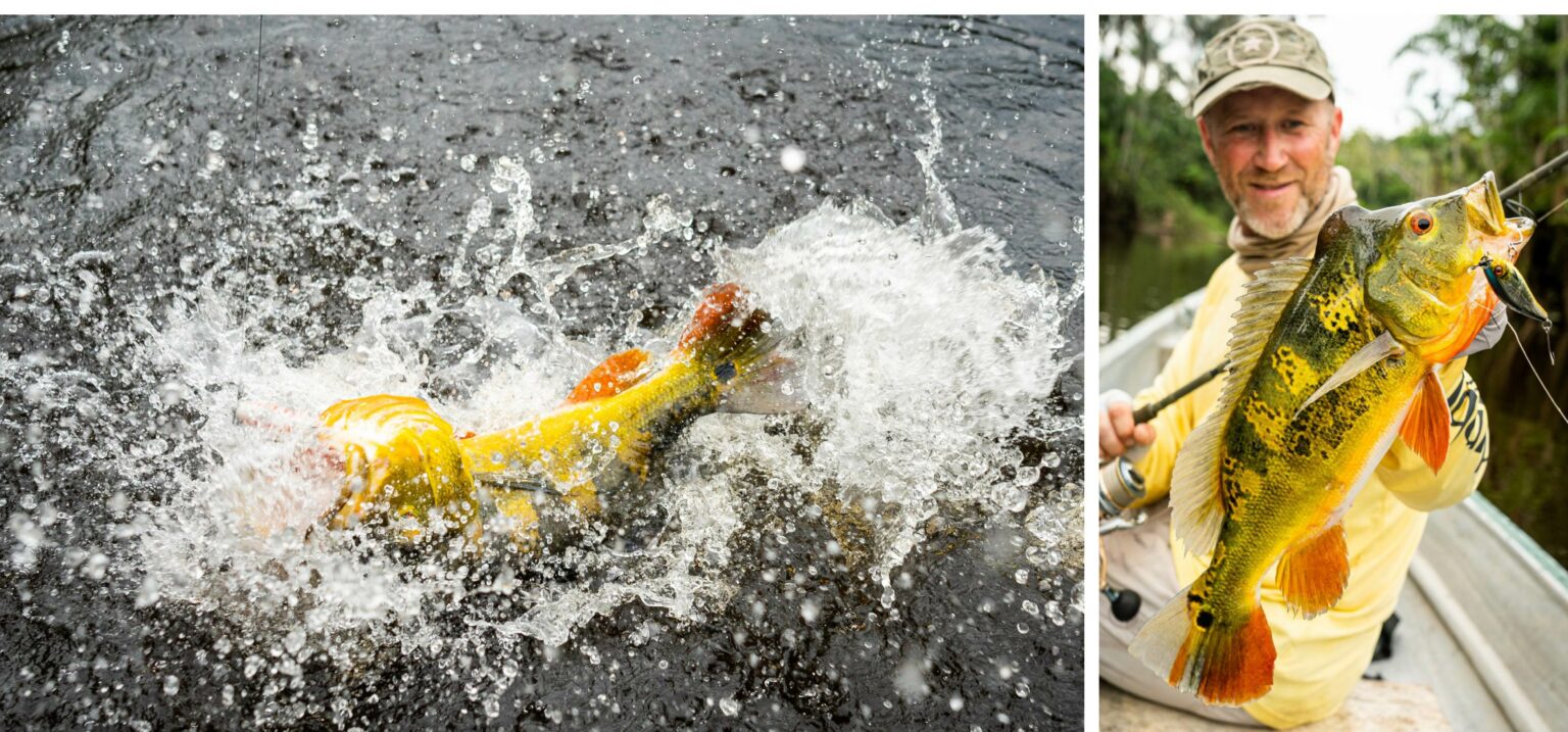 Ecuador Fishing: Wildlife & Adventure -> Amazon Fishing Trip