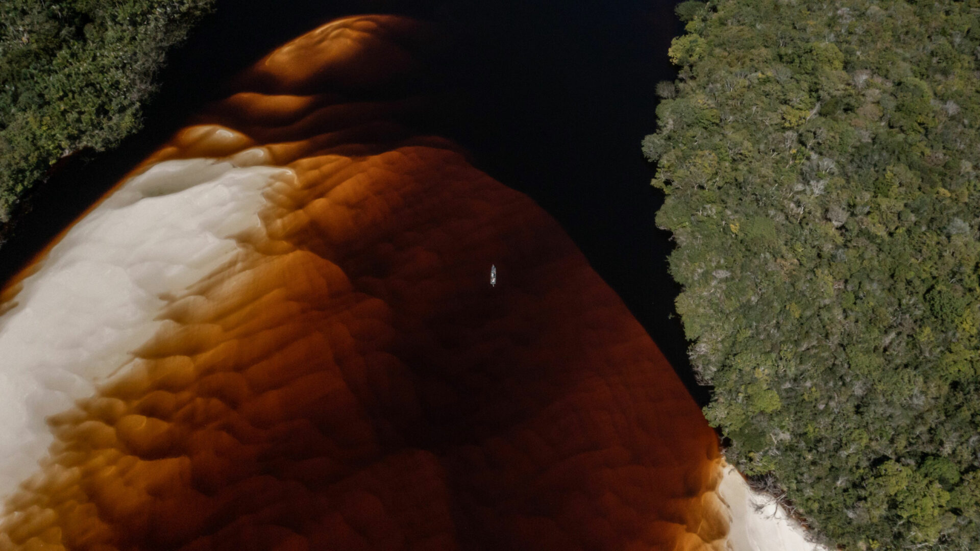 Brazil Fishing Trips Amazon/Rio Negro - Travel2Fish